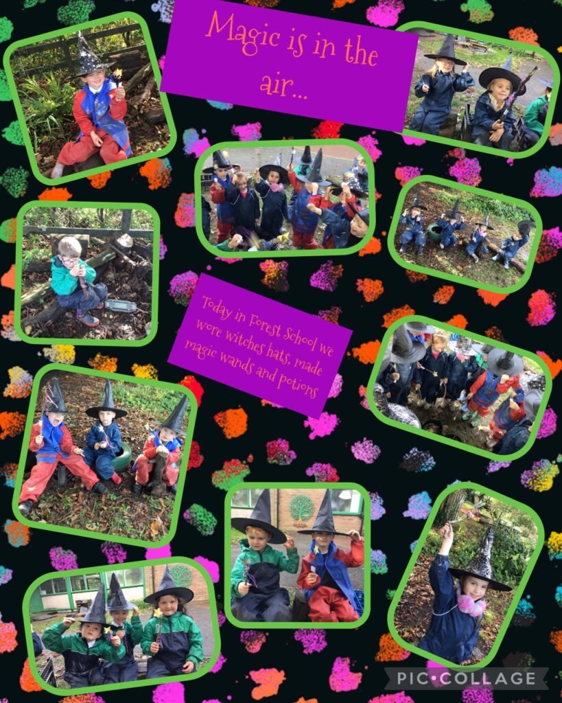 Forest School and Outdoor Learning | Strike Lane Primary School