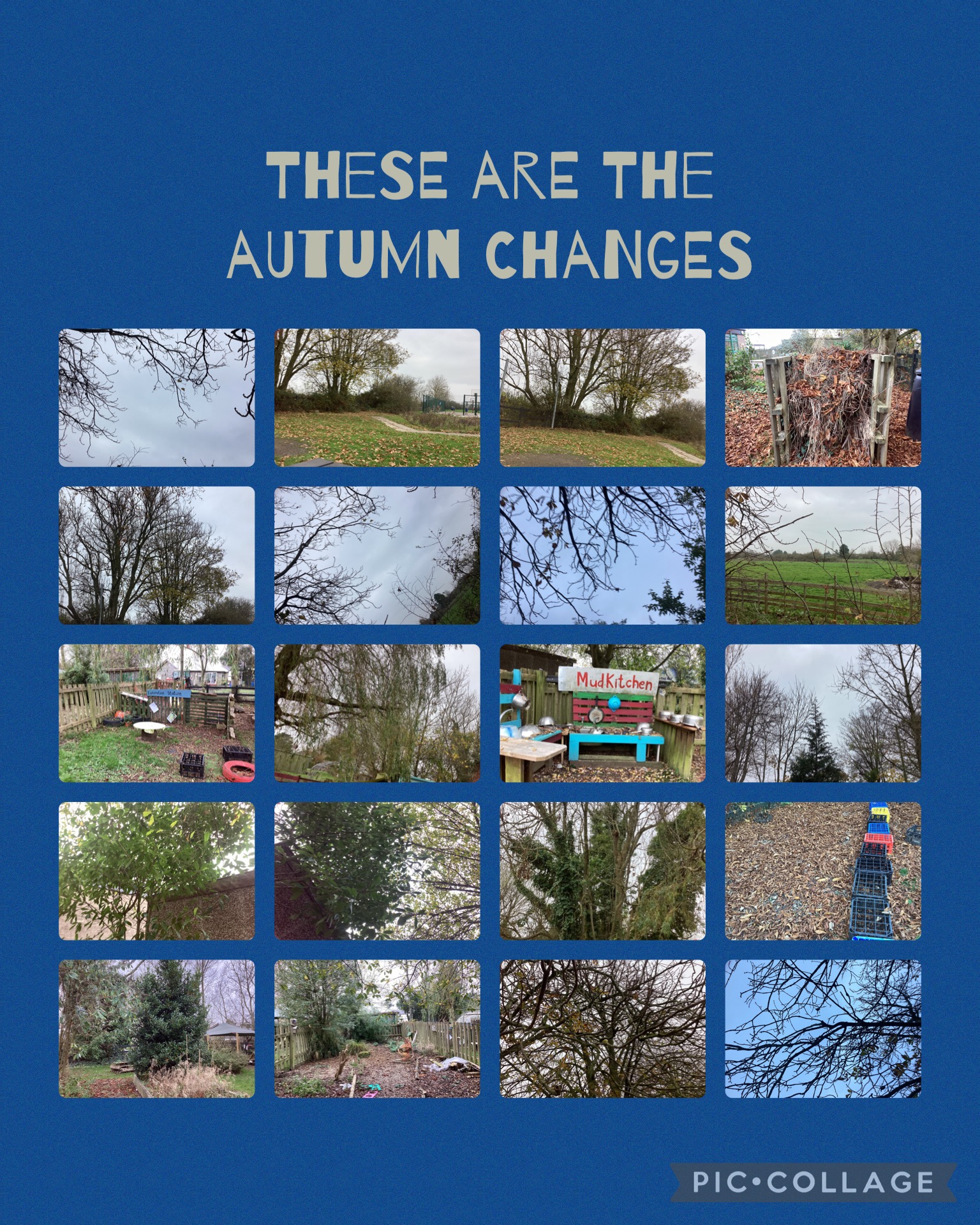 Autumn changes | Strike Lane Primary School